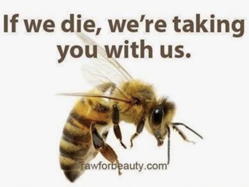 We wouldn’t have a much of a food supply without bees. Please sign this ...