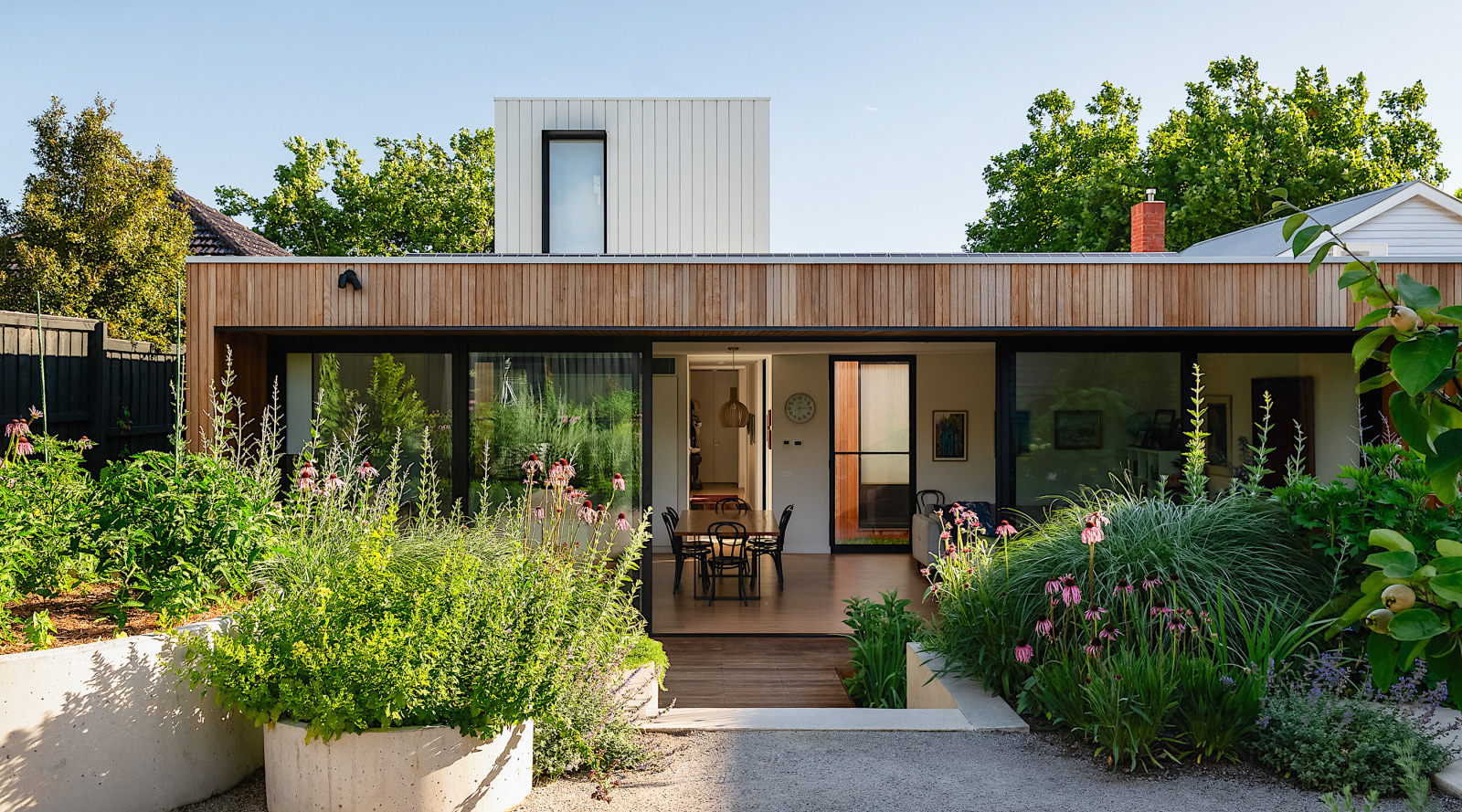 Backyard Oasis: Deck, Plunge Pool & Veggie Pipes | Trends