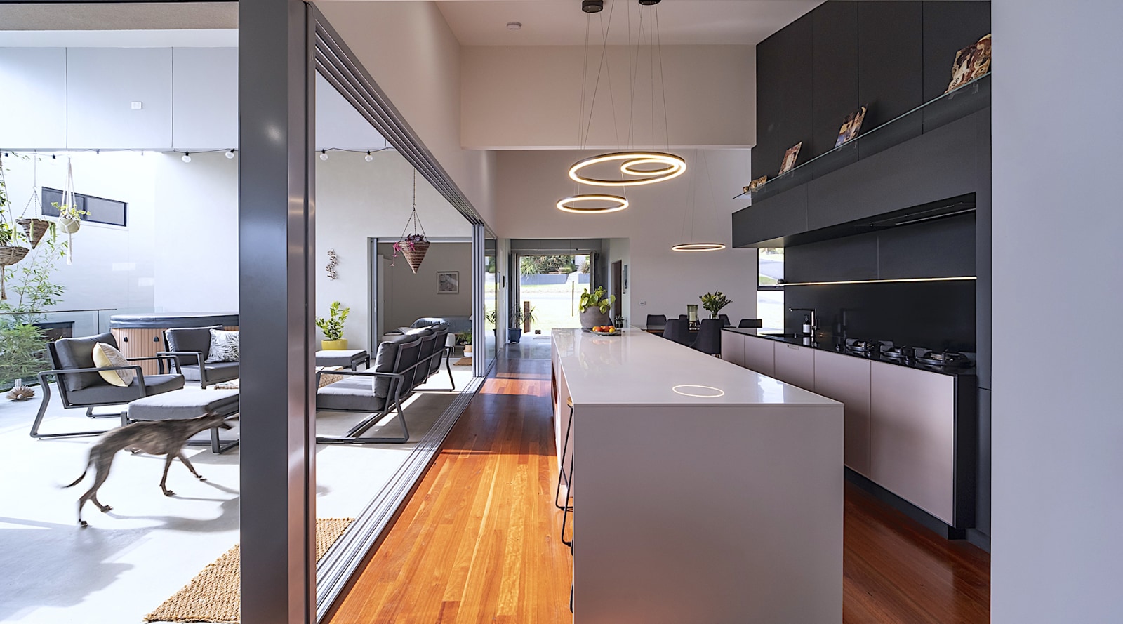 Sliding into the day | Trends