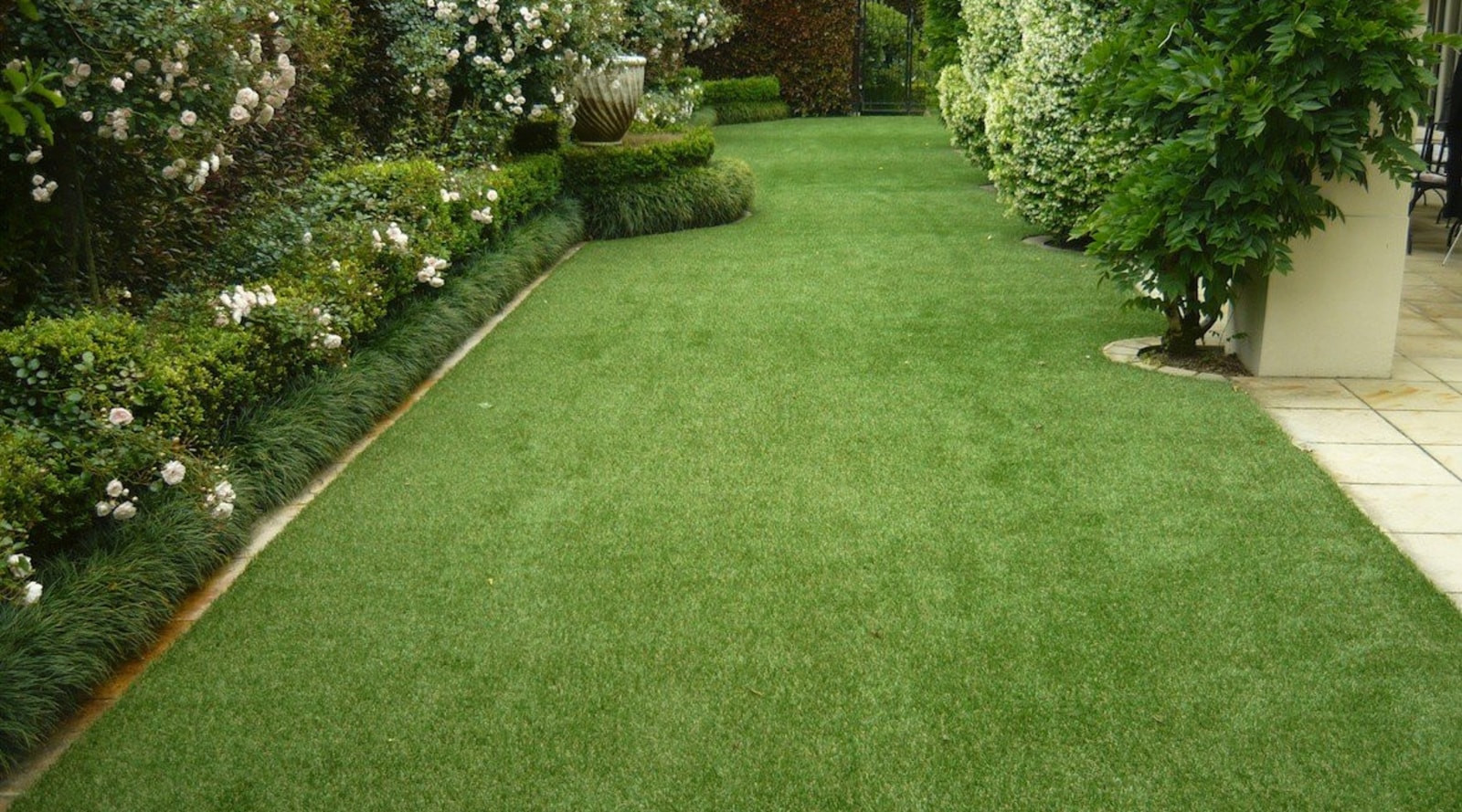 Getting your grass to survive summer | Trends Getting your grass to survive summer | Trends