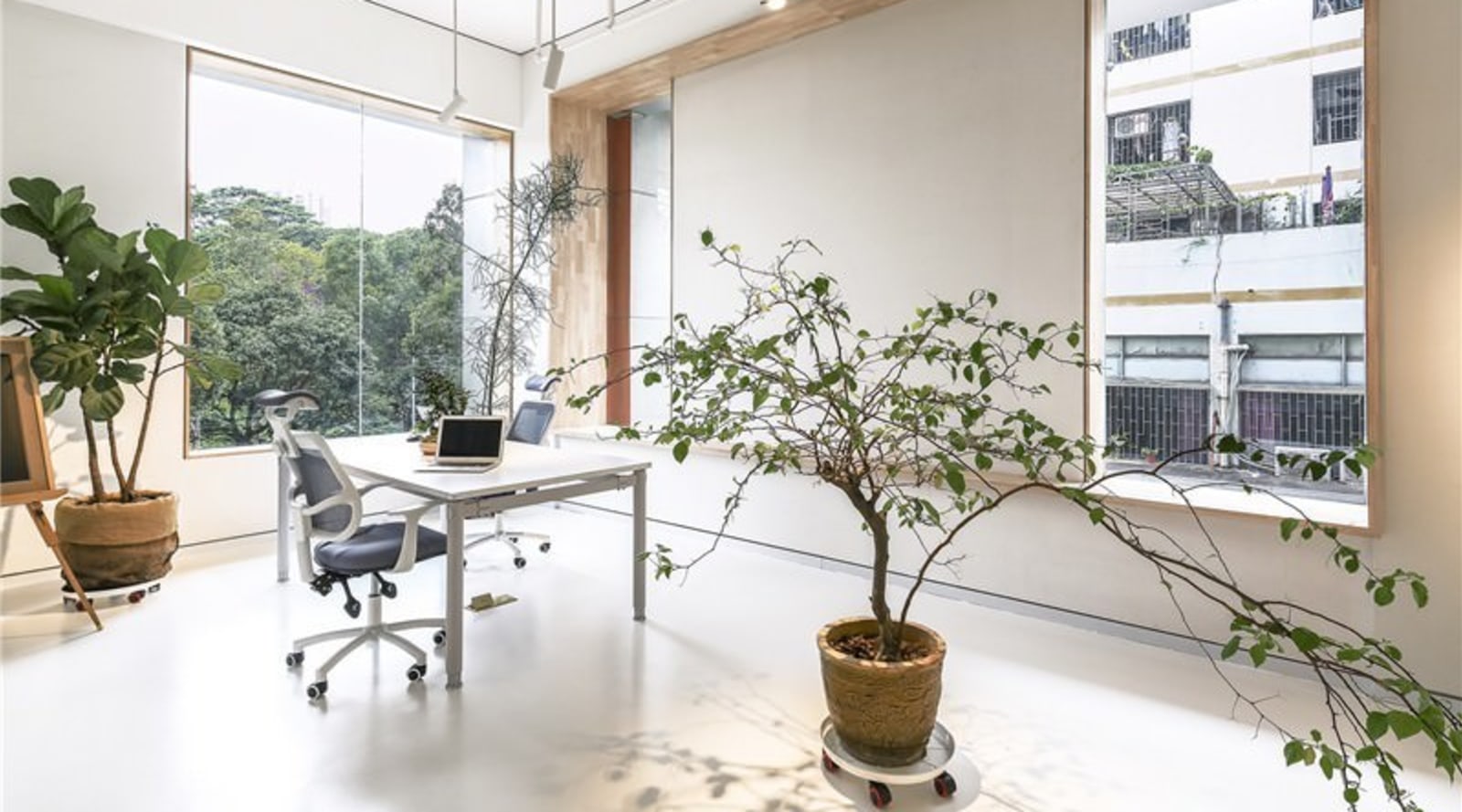 White – The new Bloom Design Studio | Trends