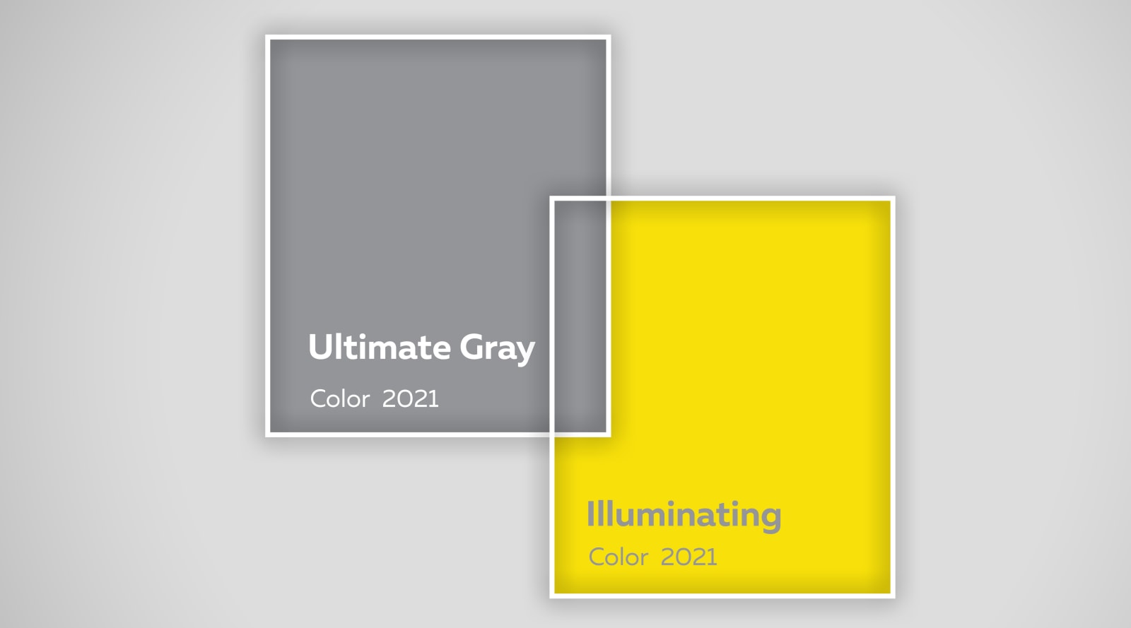 2021, in colour | Trends