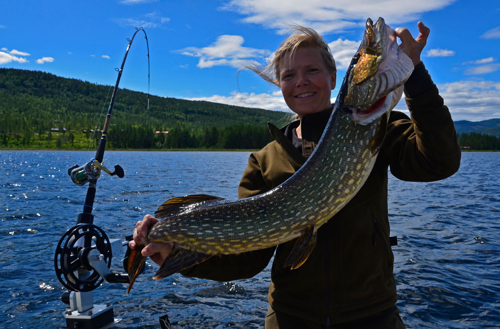 Fiske Sperillen ⋆ Vikerfjell.com