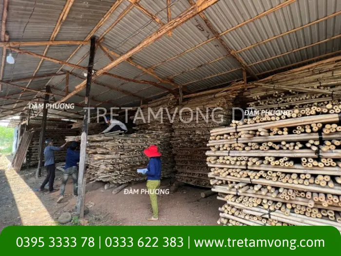 Dự báo giá cao su năm 2024