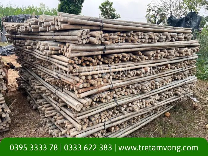 Giá Mủ Cao Su Đồng Nai Tháng 10 Có Biến Động