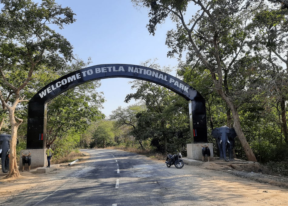 Betla National Park: 5 Reasons Why Adventure and Natural Beauty Lovers ...