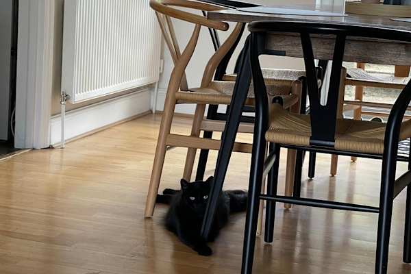 House Sitting with TrustedHousesitters | TrustedHousesitters.com