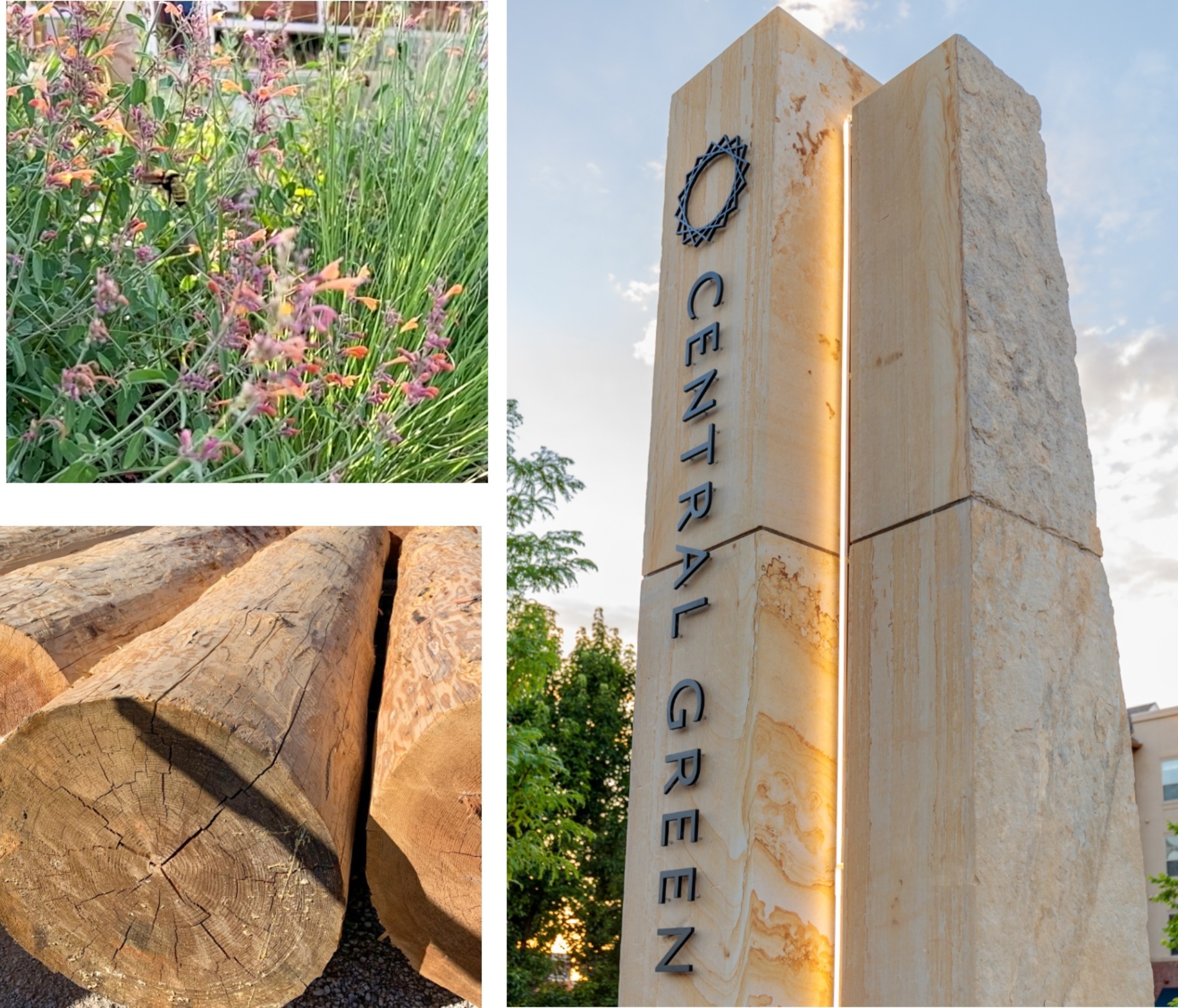 Central Green at Fitzsimons Innovation Community | Tryba Architects