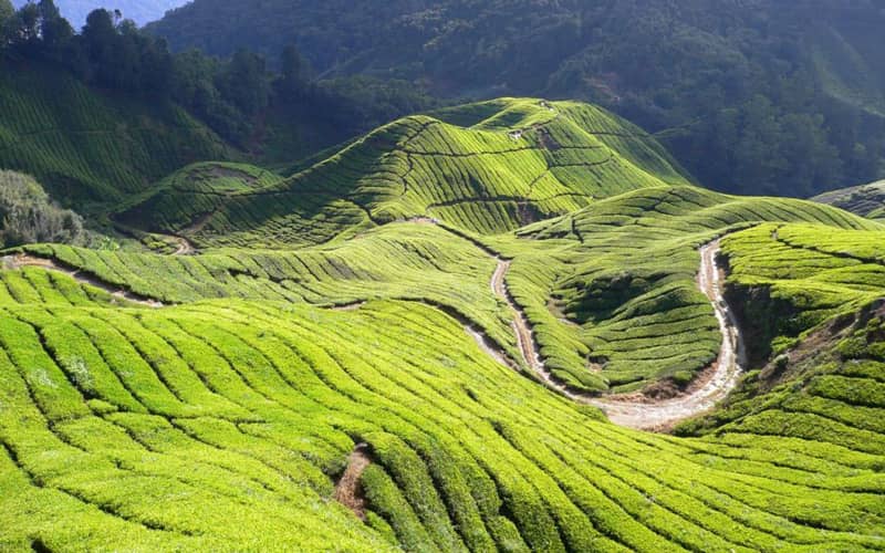 Malezya'da Gezilecek 8 Önemli Yer | Turna.com