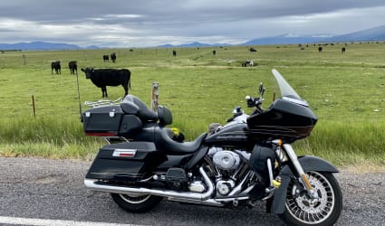 Texas Rattlesnake Rally 2025 in Walnut Springs, TX