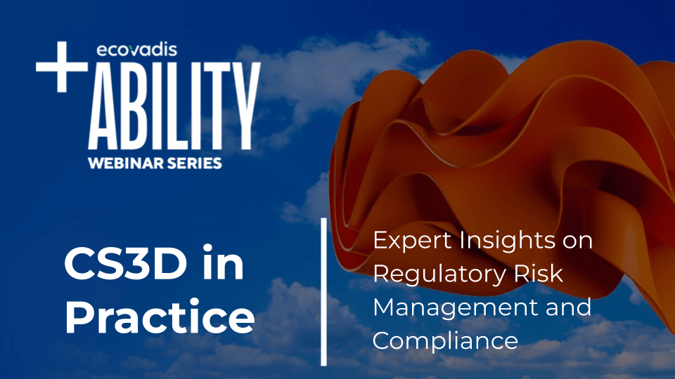 CS3D in Practice: Expert Insights on Regulatory Risk Management and Compliance