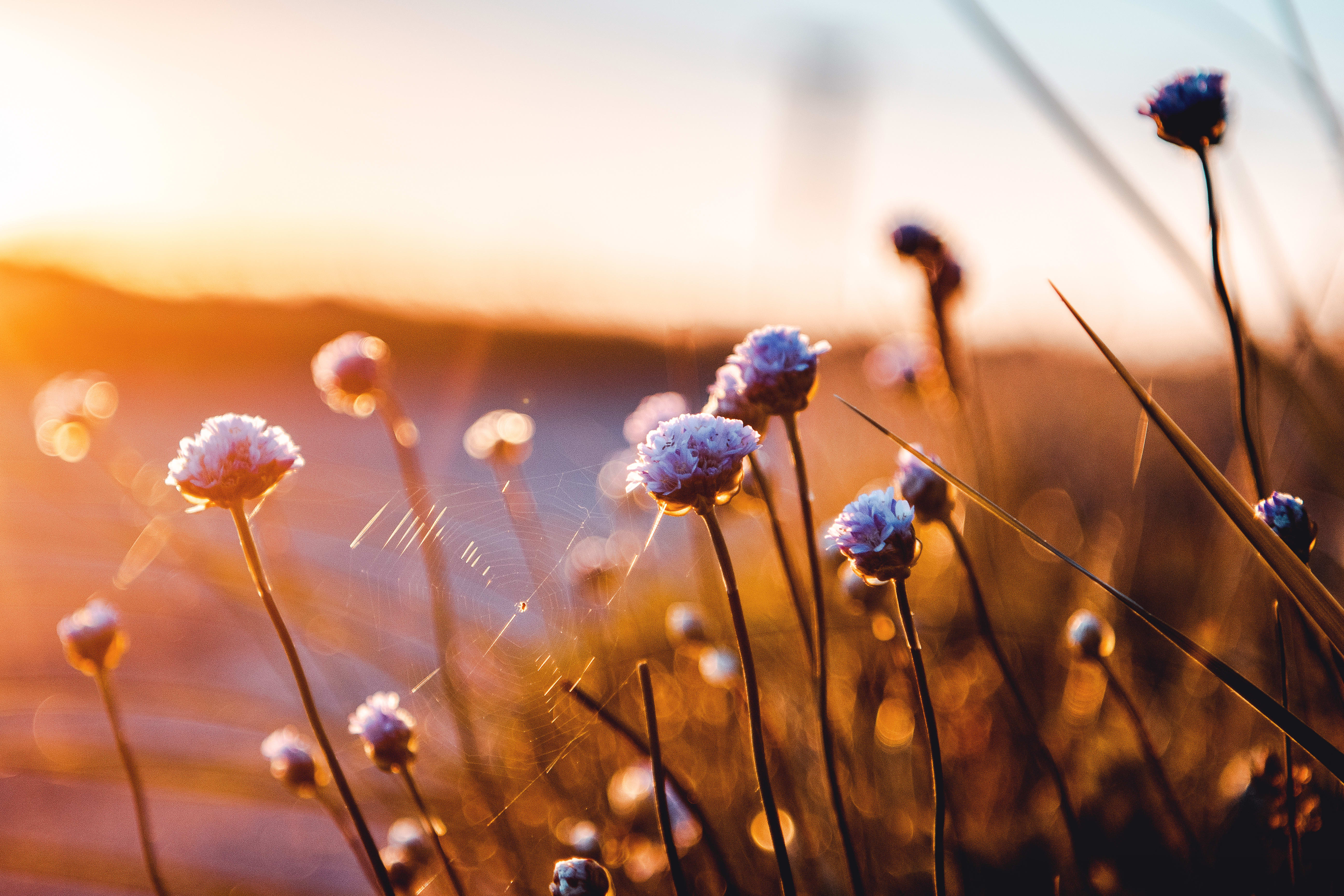 Sustainability Performance: Things Going Down (In a Good Way)