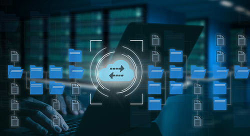 Selective Vault Database Backup Process