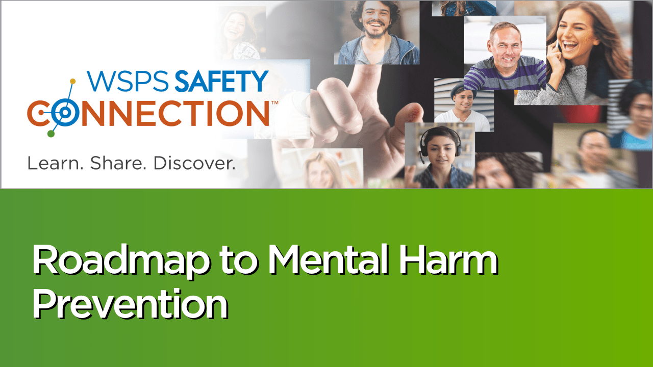 Mental Harm Prevention Roadmap