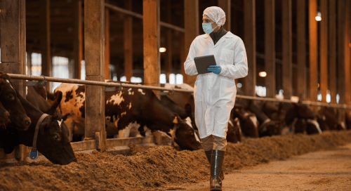 Protect yourself and your workers from hazards with the proper PPE