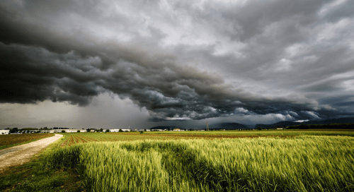 Planning for the unexpected: 10 tips to strengthen your farm’s ...