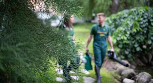 Landscaping businesses: Do your young workers understand their role as ...