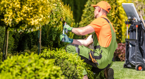 Leading a landscaping crew: What a supervisor needs to know