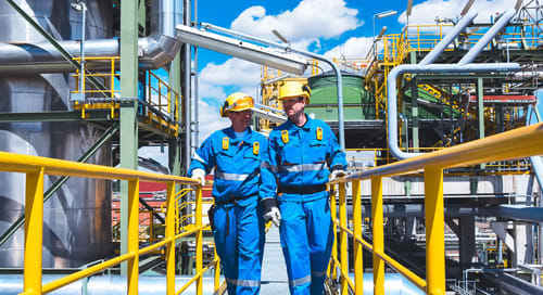 Explore the paradox of risk management