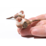 MINI BIRD - Send to Paoli, PA Today!