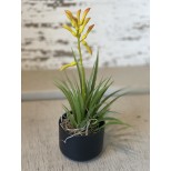 Send Yellow Flower Thimble Pot in Madisonville, KY - Metcalfe Florist ...