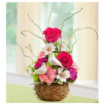 Send Love Birds - 00314 in Hagerstown, MD - TG Designs