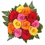 Send Rainbow of Roses Bouquet in Waterloo, Kitchener, ON - KW Flowers