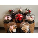 Send Forever Together (Forever Roses) in Winnipeg, MB - Osborne Florist