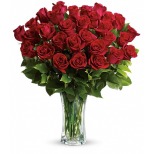 Send Love and Devotion - Long Stemmed Red Roses in Hamden, CT - Devine ...
