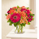 Send Sunset Passion™ in Tomball, TX - Susana's Flowers
