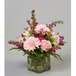 Send Positively Pink in Kankakee, West Kankakee, IL - Busse & Rieck ...