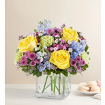 Send Spring Blossom™ Medley in Cypress, Houston, TX - Sicola's Florist