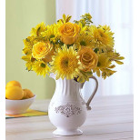 Send Pitcher of Sunshine™ in Cypress, Houston, TX - Sicola's Florist