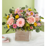 Send The Spring Sentiment™ Bouquet in Cypress, Houston, TX - Sicola's ...