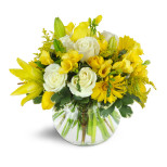 Send Lucky Stars™ in Bronx, Indian Village, NY - Flowers by Wild Orchid