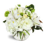 Send Truly Yours™ in Trenton, NJ - Fiori's Flowers