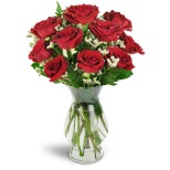 Send Devoted to You™ Red Roses in New Rochelle, Westchester, NY ...