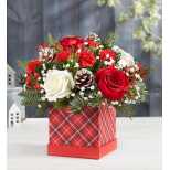 Send Christmas Traditions™ Bouquet in Tomball, TX - Susana's Flowers