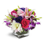 Send She's a Jewel™ in Moline, IL - Julie's Artistic Rose