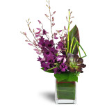 Send Orchid Jewels™ in Moline, IL - Julie's Artistic Rose