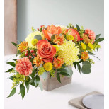 Send Seasonal Sunset™ Centerpiece in Tomball, TX - Susana's Flowers