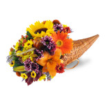 Send Harvest Cornucopia™ for Fall in Spencer, MA - Appleblossoms