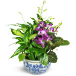 Send Sweet Memory Planter in Flushing, NY - Flowers by Peter