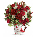 Send Send a Hug® Christmas Cardinal by Teleflora in Sunset Strip ...