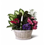 Send The FTD® Peaceful Garden™ Planter in Belpre, Marietta, OH - Sandy ...