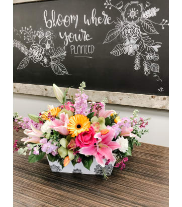 Safeway Flower Delivery Grande Prairie | Best Flower Site