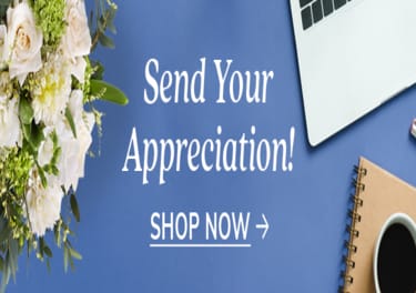 Clemson SC Florist - FREE Flower Delivery in Clemson SC - Clemson ...