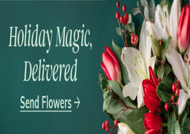 FREE Same-Day Flower Delivery in Pittsburgh, Deutschtown PA | Oliver ...