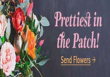 FREE Same-Day Flower Delivery in Pittsburgh, Deutschtown PA | Oliver ...