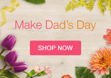 Owen Sound ON Florist - SAME-DAY Flower Delivery in Owen Sound ON ...